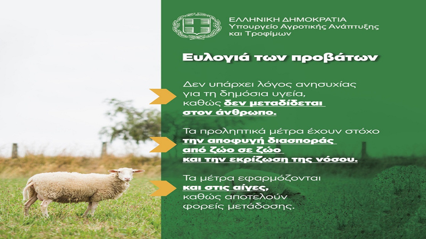 Eυλογιά των προβάτων: Τι πρέπει να κάνουμε για να προλάβουμε την ...